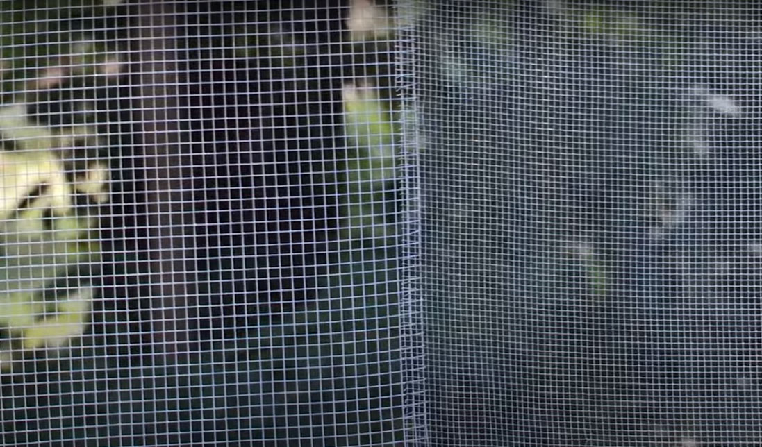 The biggest reason a home burns in a wildfire - Sustainable Energy Group