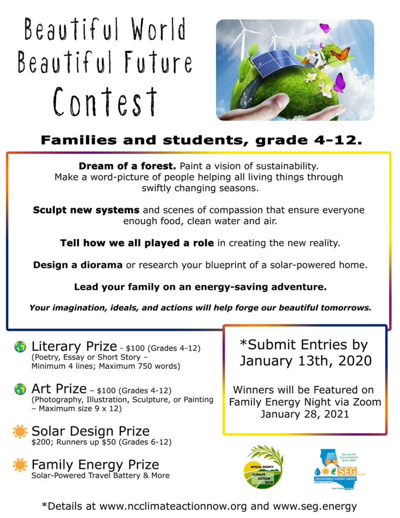 Beautiful World, Beautiful Future Contest - Sustainable Energy Group