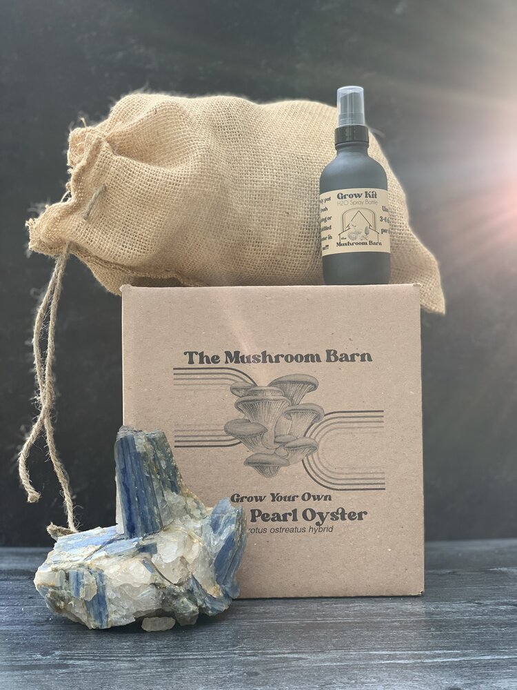 The Magic of Mushrooms - Mushroom Barn - Sustainable Energy Group