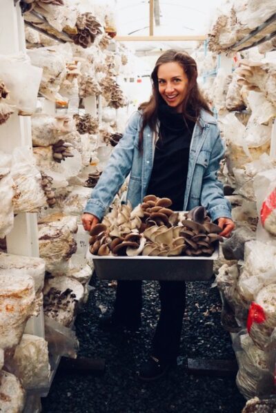 The Magic of Mushrooms - Mushroom Barn - Sustainable Energy Group