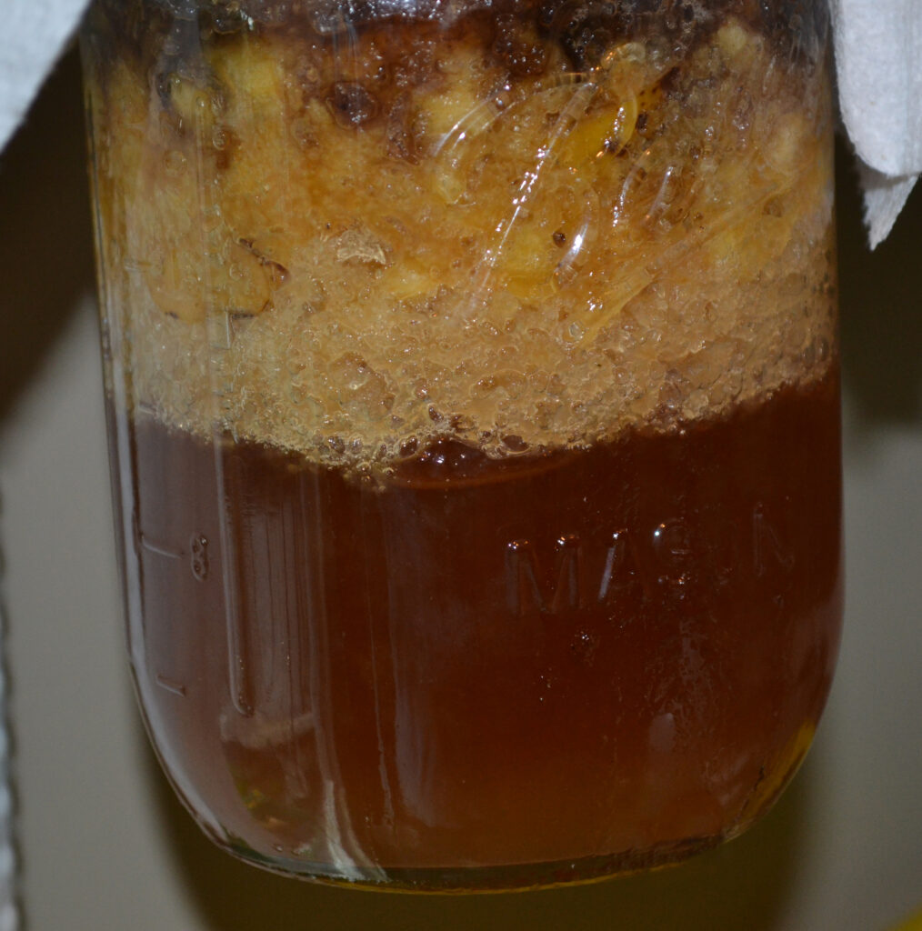 Creating Life In Your Soil With Fermentation - Sustainable Energy Group