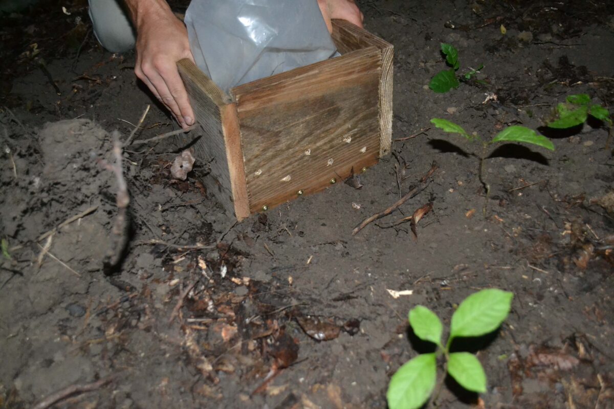Creating Life In Your Soil With Fermentation - Sustainable Energy Group