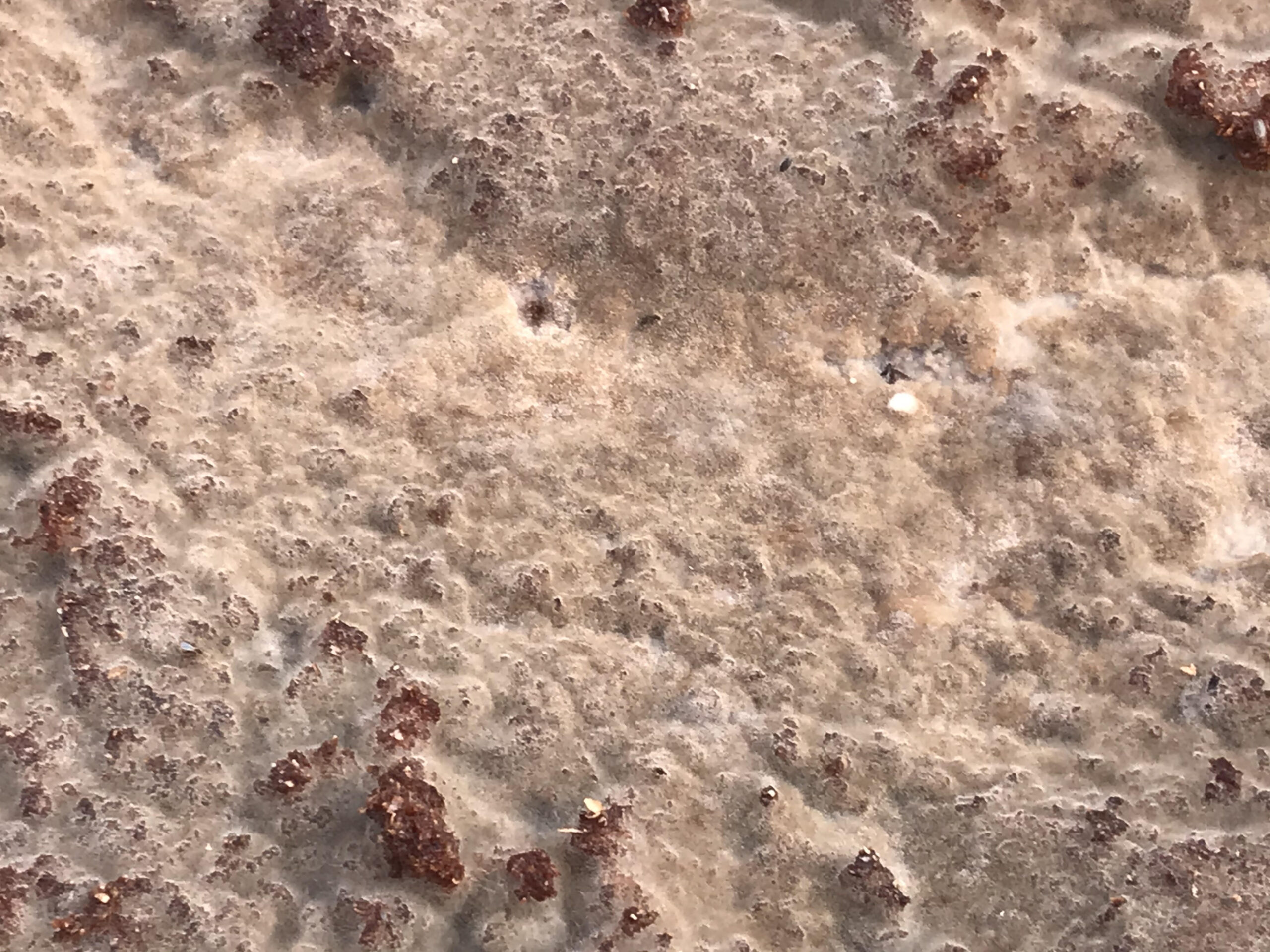 Creating Life In Your Soil With Fermentation - Sustainable Energy Group