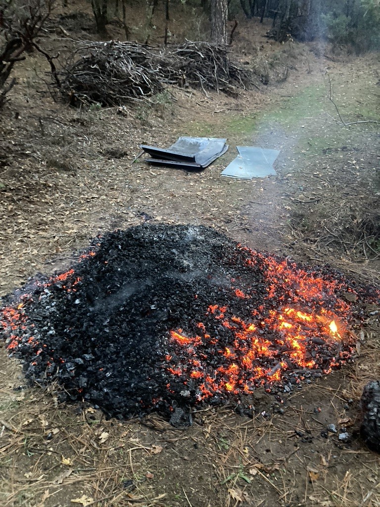 BIOCHAR - Reduce Fire Threat While Increasing Forest Resilience ...