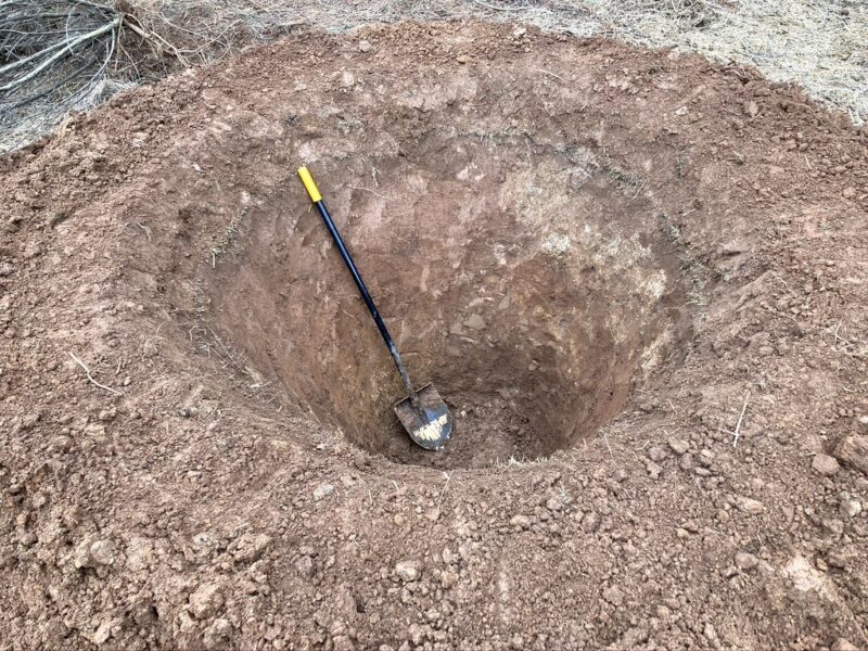 BIOCHAR - Reduce Fire Threat While Increasing Forest Resilience ...