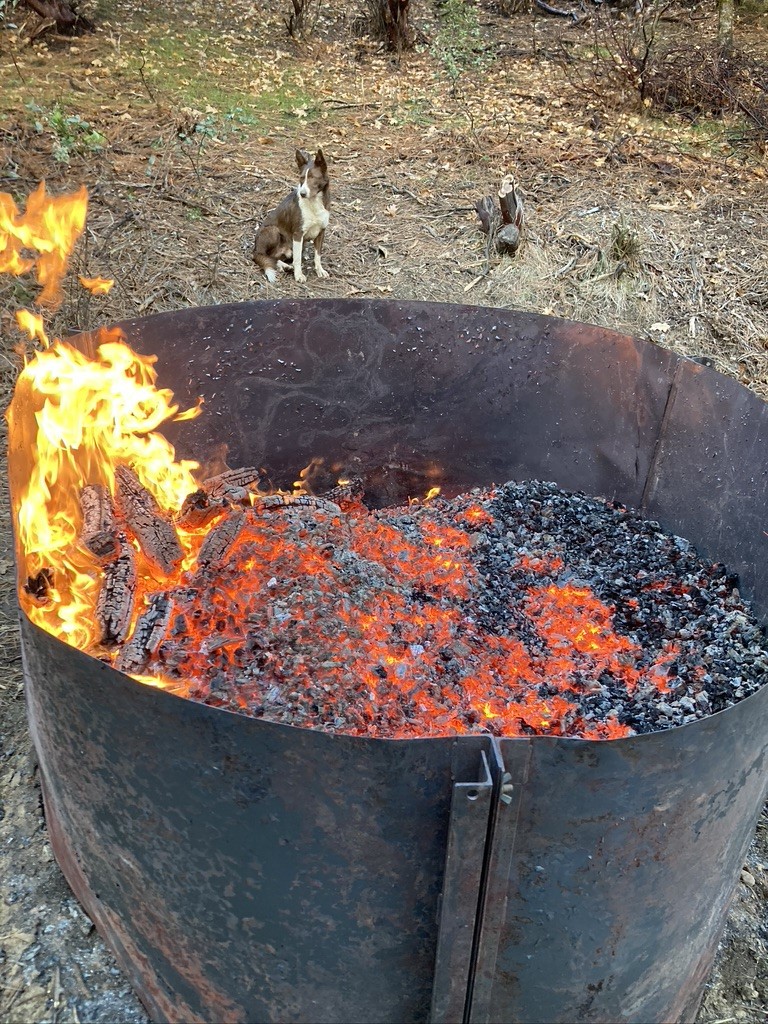 BIOCHAR - Reduce Fire Threat While Increasing Forest Resilience ...