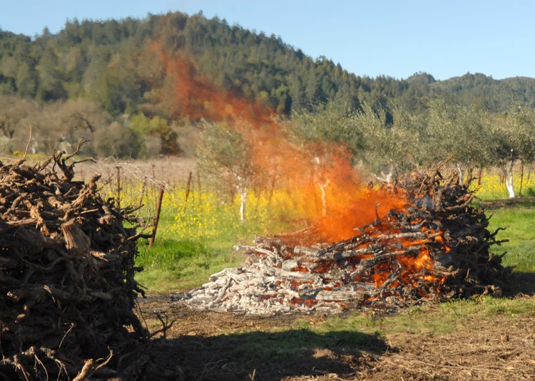 BIOCHAR - Reduce Fire Threat While Increasing Forest Resilience ...