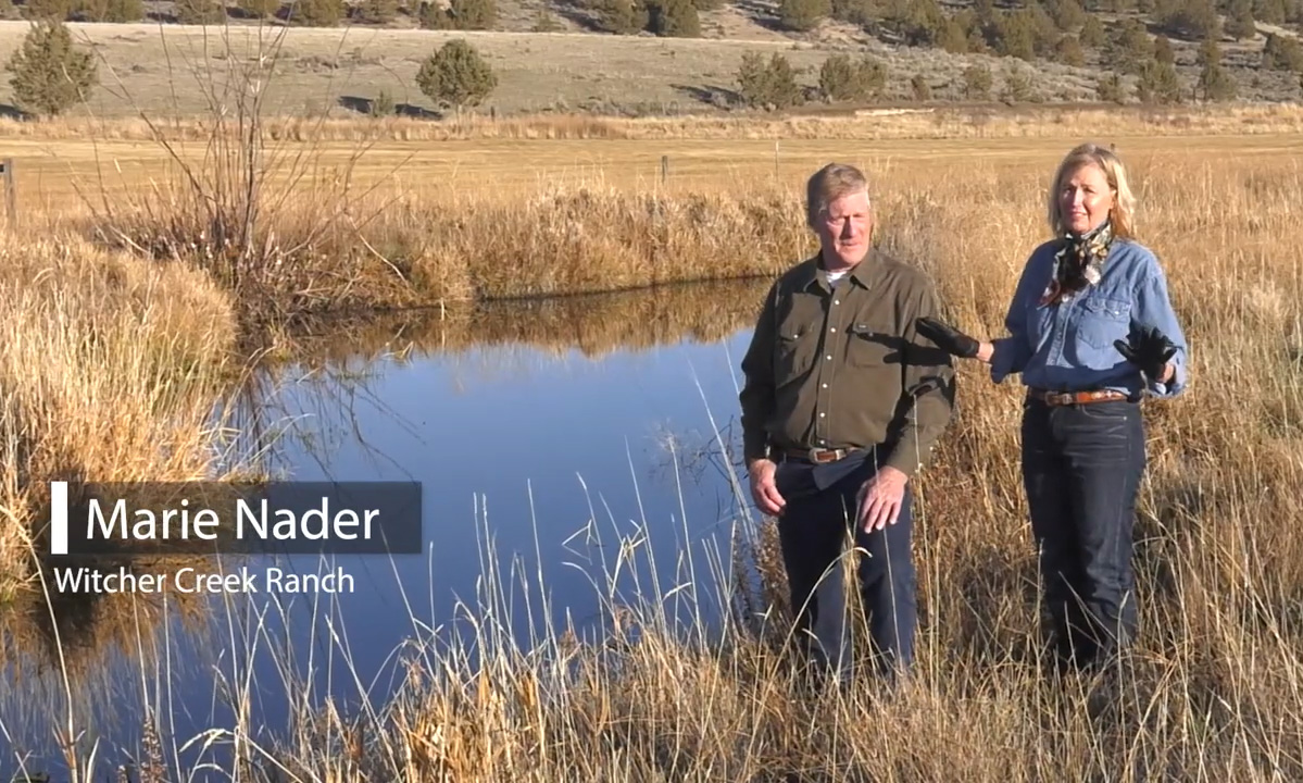 The Nader Family: Leading the Way in Sustainability - Sustainable ...